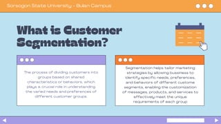 Business Analytics report visualizing customer segmentation Data for ...