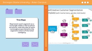 Business Analytics report visualizing customer segmentation Data for ...