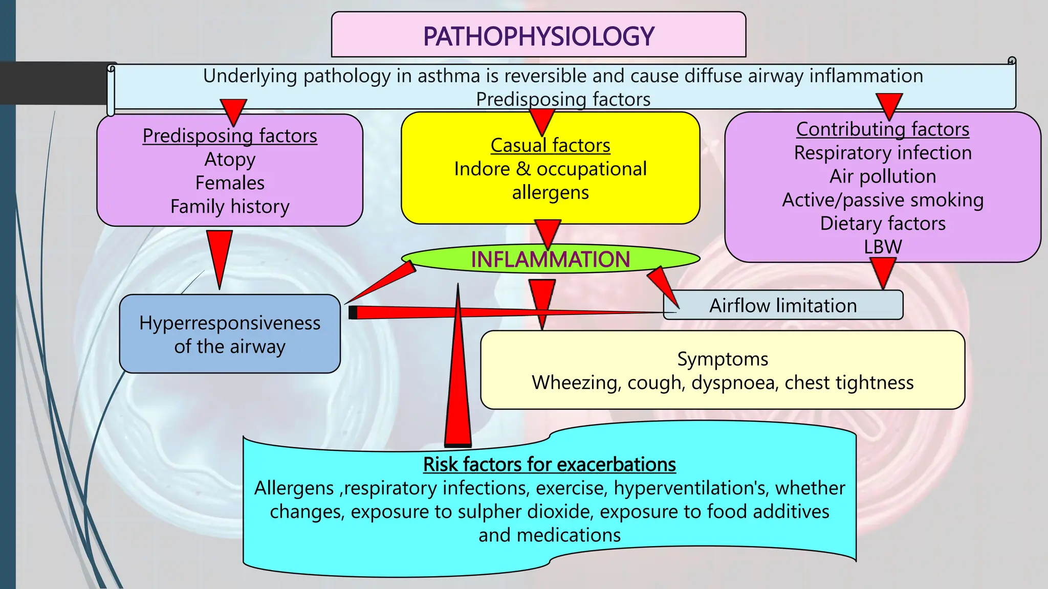ASTHMA- ONE OF THE MOST COMMON RESPIRATORY DISEASE | PPTX