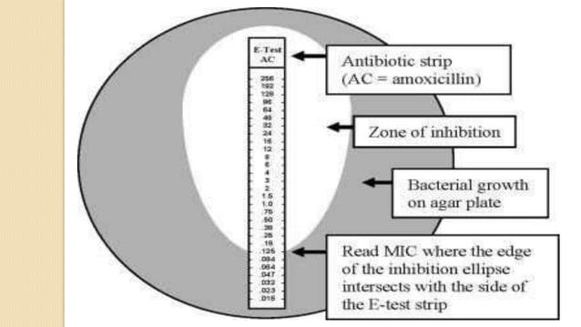 AST Methods_Practical No. 8.pptx | Infectious Diseases | Diseases and Conditions
