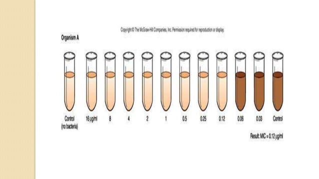 AST Methods_Practical No. 8.pptx | Infectious Diseases | Diseases and Conditions