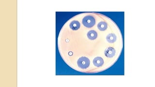 AST Methods_Practical No. 8.pptx