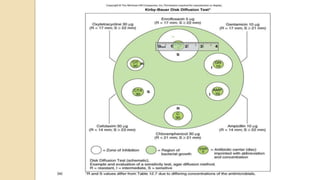 AST Methods_Practical No. 8.pptx