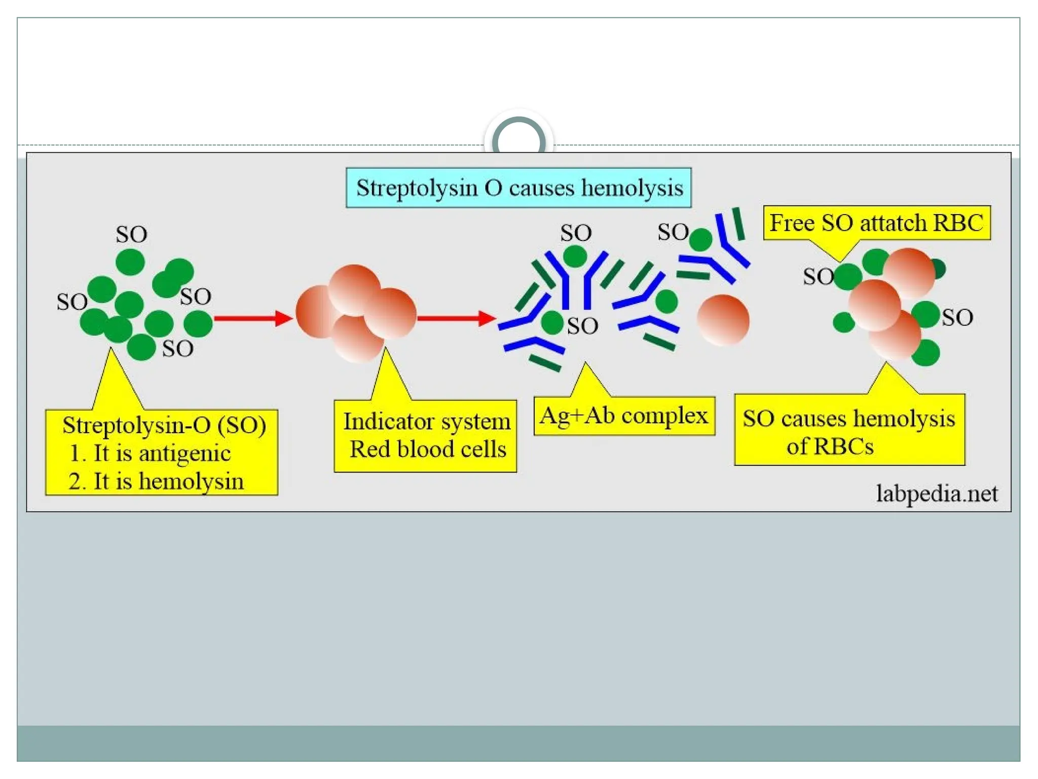 Pemeriksaan ASTO (anti streptolisin O).pptx