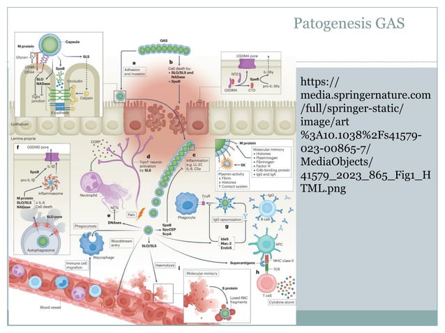 Pemeriksaan ASTO (anti streptolisin O).pptx