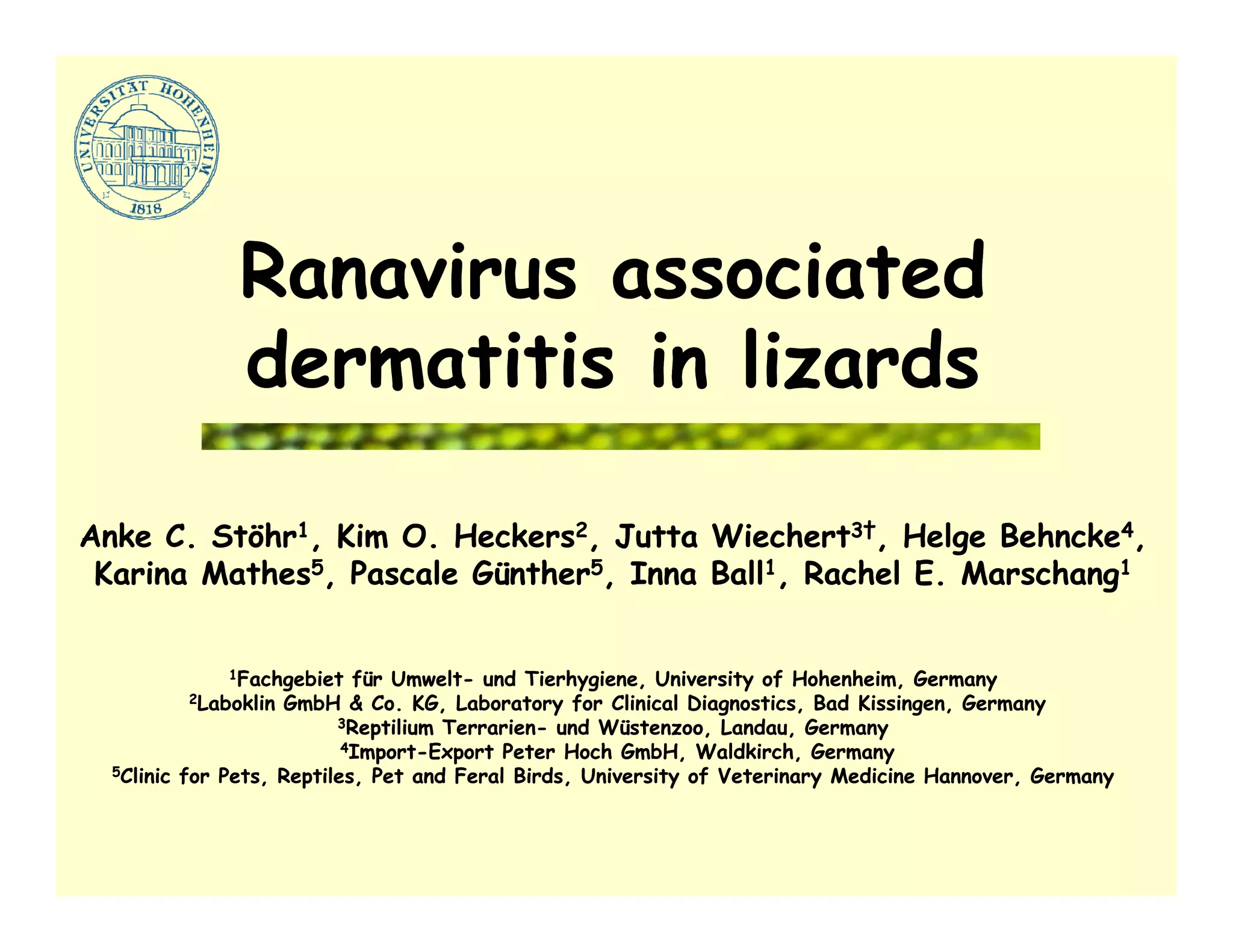 Ranavirus associated dermatitus in lizards | PDF