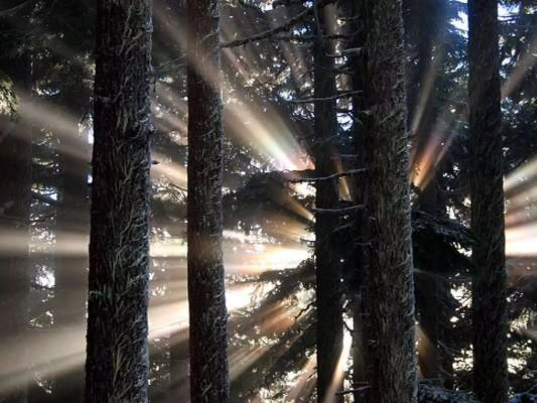 Astonishing Examples Of Sunlight Photography | PPSX