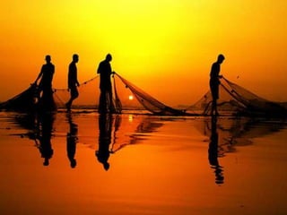 Astonishing Examples Of Sunlight Photography | PPT