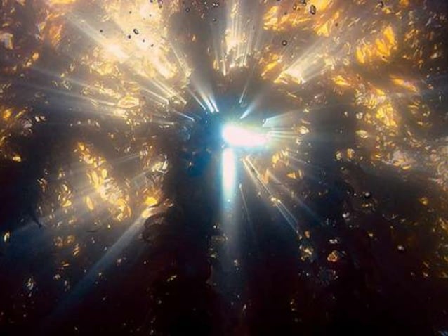 Astonishing Examples Of Sunlight Photography | PPSX