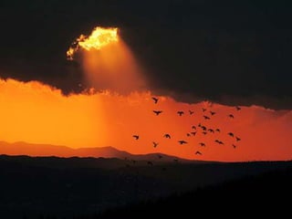 Astonishing Examples Of Sunlight Photography | PPT