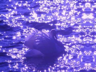 Astonishing Examples Of Sunlight Photography | PPT