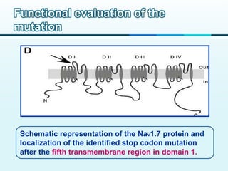 A stop codon mutation in scn9a causes lack of pain sensation | PPT