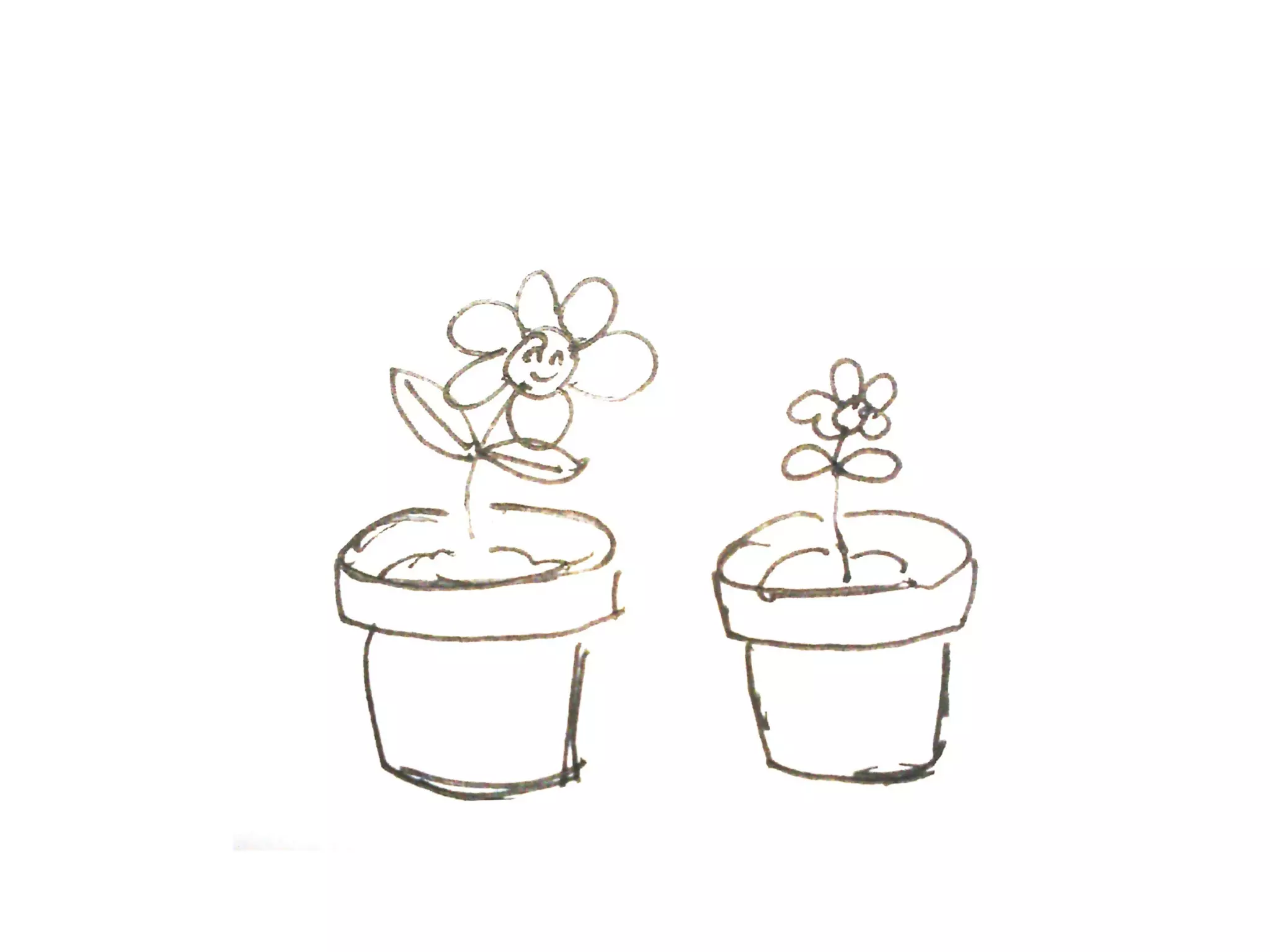 A story of two flowers | PPT