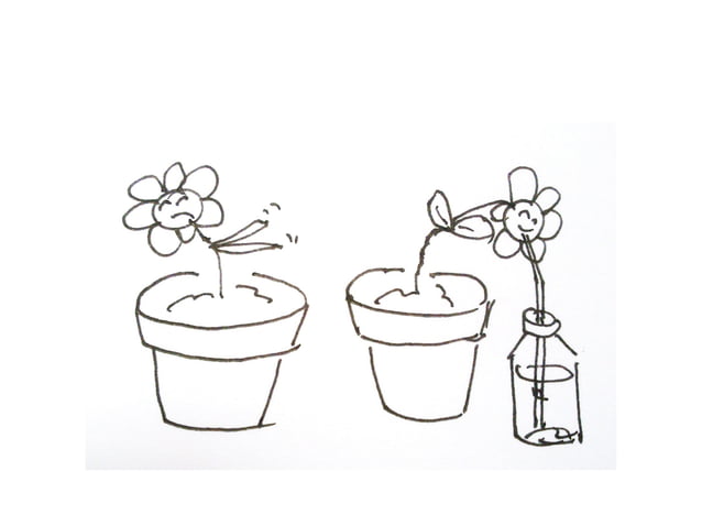 A story of two flowers | PPT