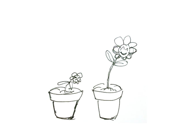 A story of two flowers | PPT