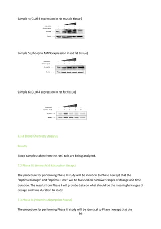 Astra Gin, A Nu Liv Science Nutraceutical Ingredient For Increasing ...