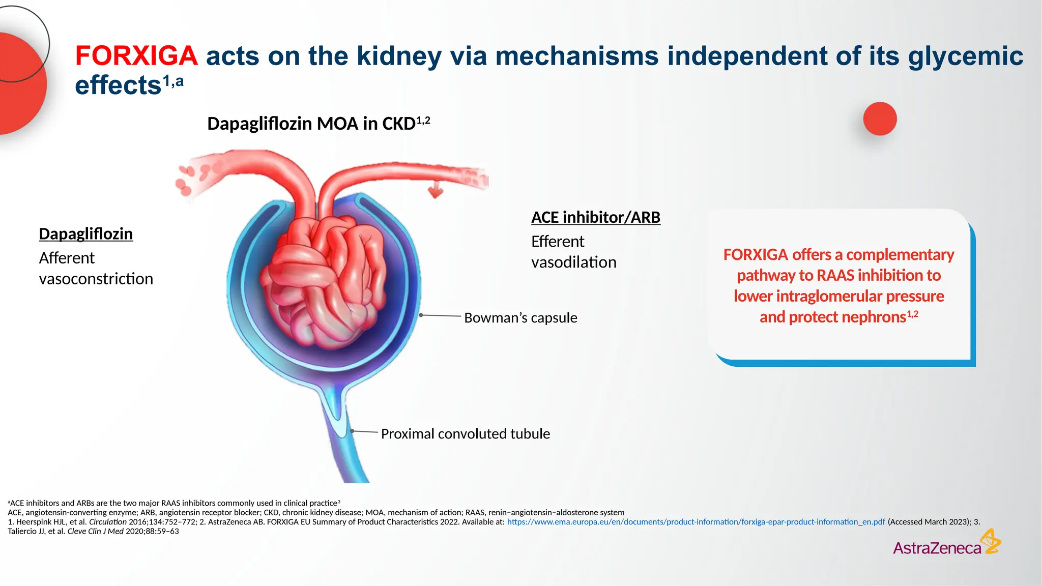 Presentation T2D_W_Declining_Kidney_Function[1].pptx