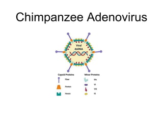 Astrazeneca:covishield prodT.uction various molecular mechanisms, usage ...
