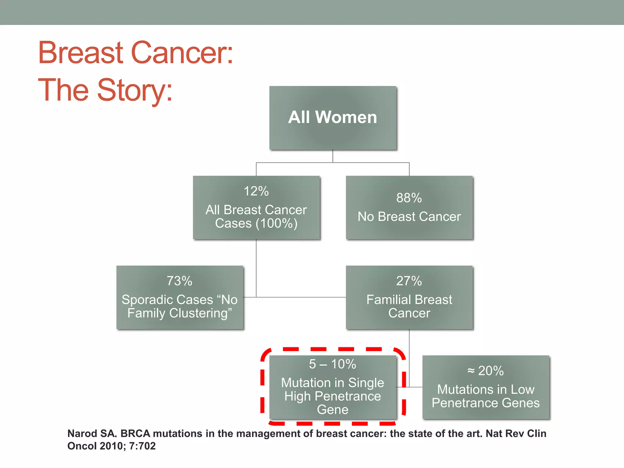 Breast Cancer: A focus on BRCA Mutations. | PPTX