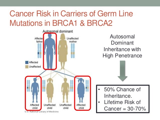 Breast Cancer A Focus On Brca Mutations