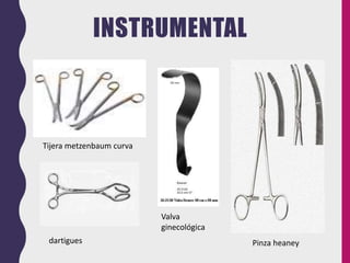procedimiento quirúrgico de histerectomía vaginal | PPT