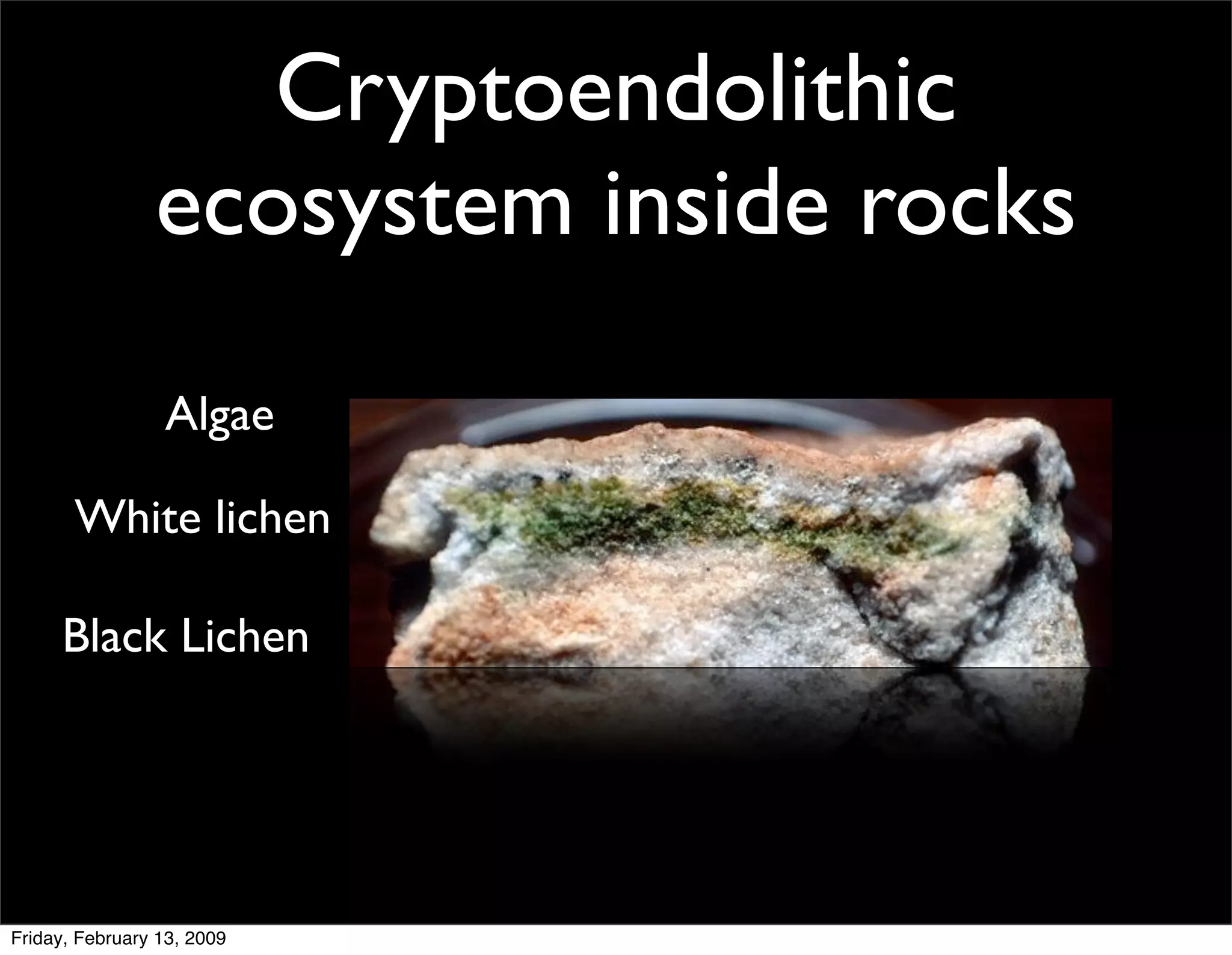 Astrobiology: Life on other planets | ZIP