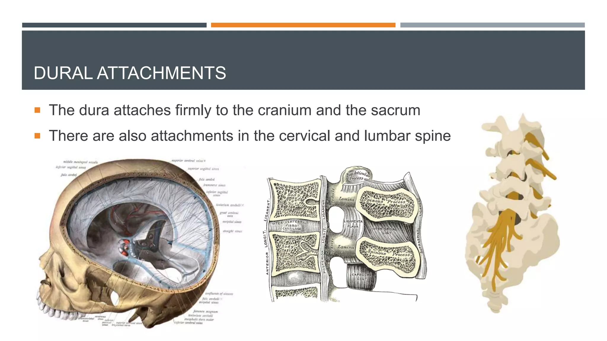 Using SOT Blocks to Remove Symptoms from Astrocytoma Surgery | PPT