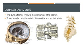 Using SOT Blocks to Remove Symptoms from Astrocytoma Surgery | PPTX
