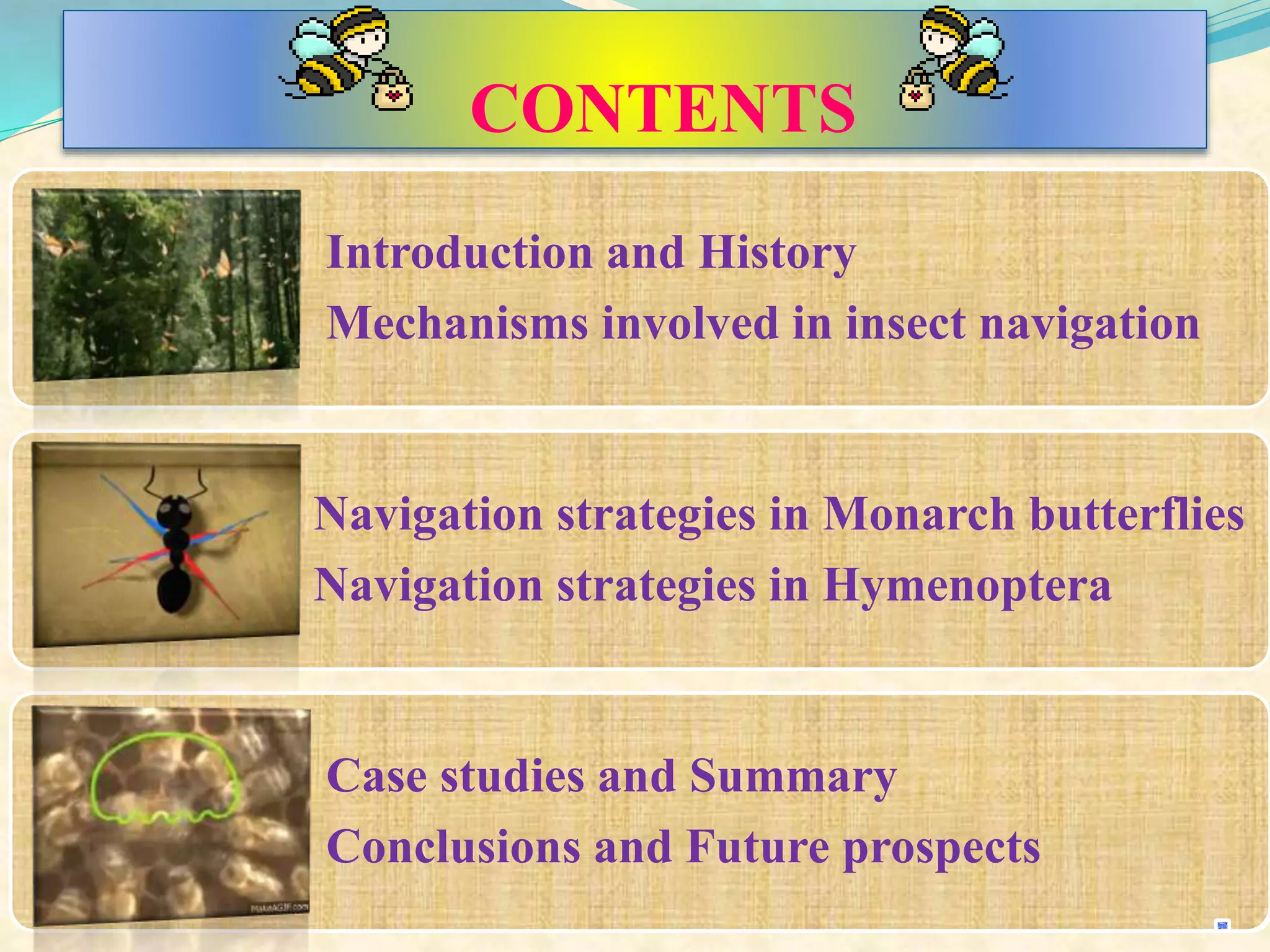 Astronavigation in Insects | PPTX