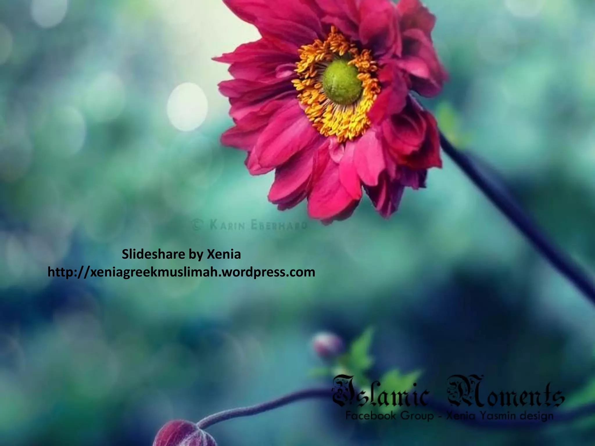 A strong woman versus a woman of strength | PPTX