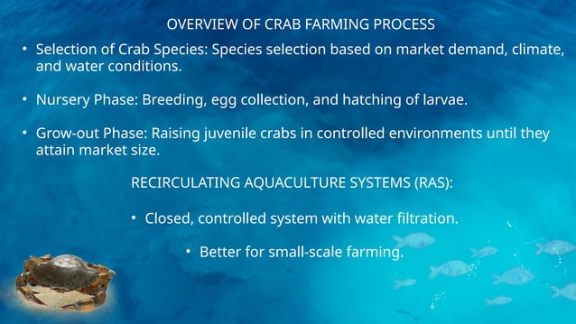 crab farming | Vertical crab farming | Crab culture | | PPT