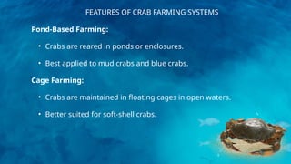 crab farming | Vertical crab farming | Crab culture | | PPT