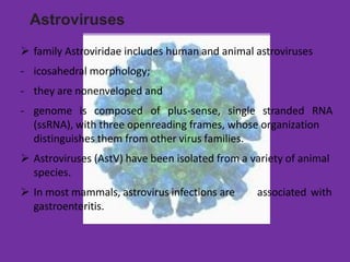 Astrovirus | PPTX