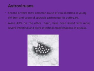 Astrovirus | PPTX