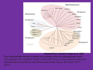 Astrovirus | PPTX