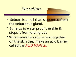 A STRUCTURE OF SKIN_0346278955444046.pptx | Skin and Dermatology ...