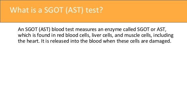 AST(SGOT)