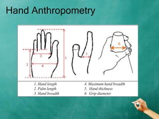 A study of hand anthropometry of indonesian female | PPT