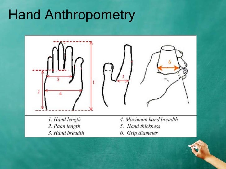 A study of hand anthropometry of indonesian female