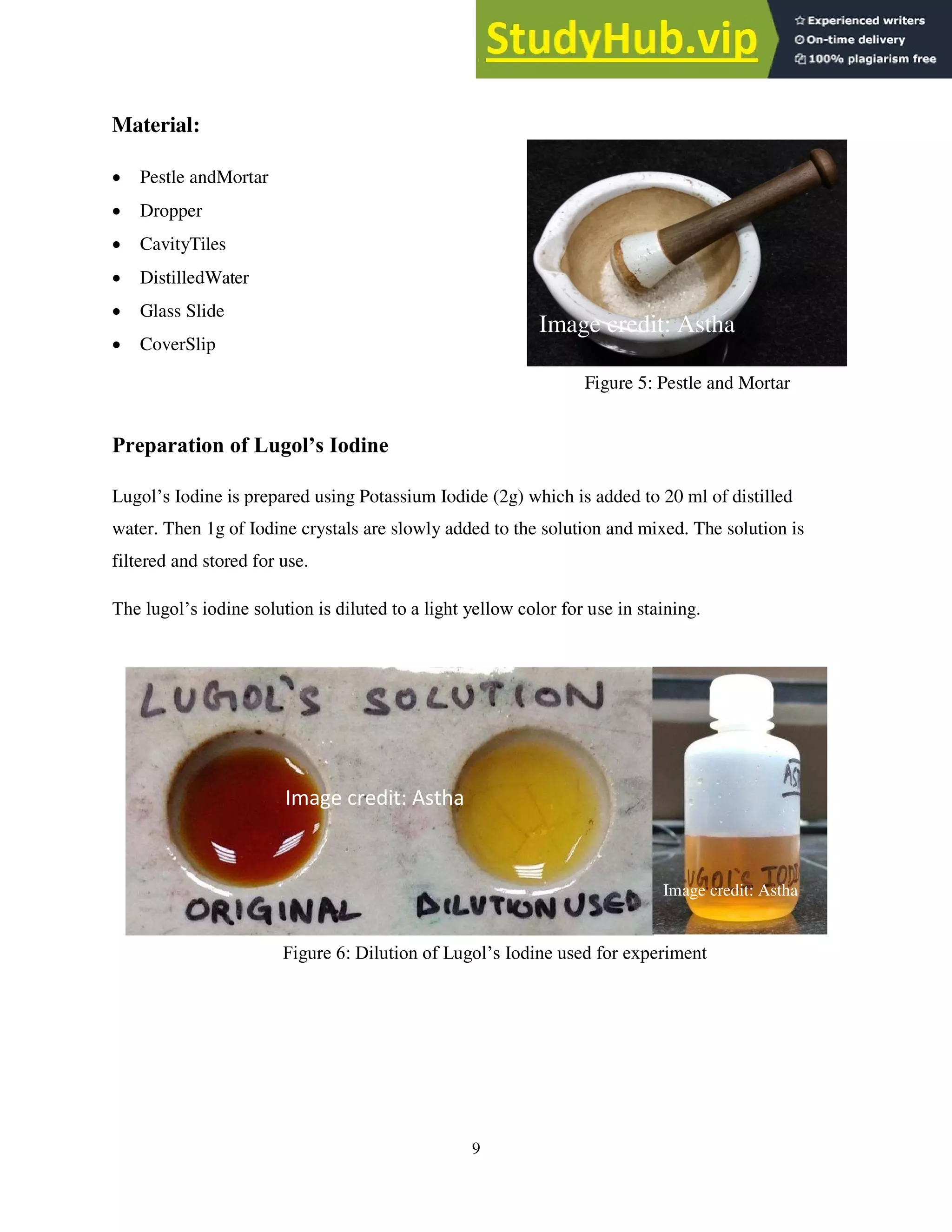 A Study Of Microscopic Characteristics Of Starch Granules | PDF