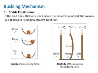A study on _ buckling | PPTX