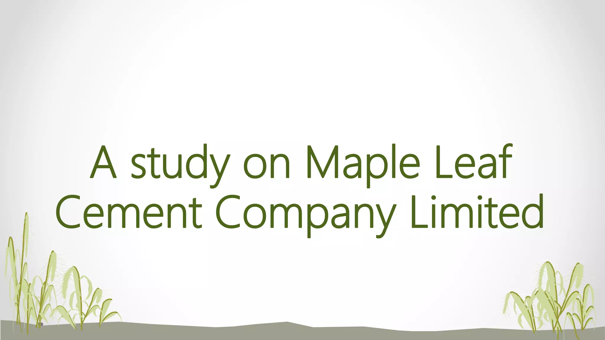 A study on Maple Leaf Cement Company Limited.pptx