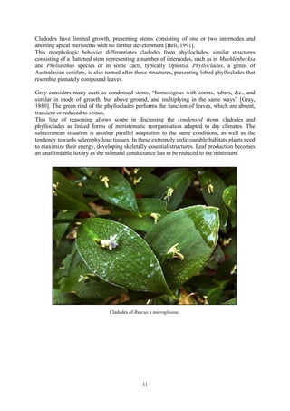 A study on the genus Ruscus and its horticultural value | PDF ...