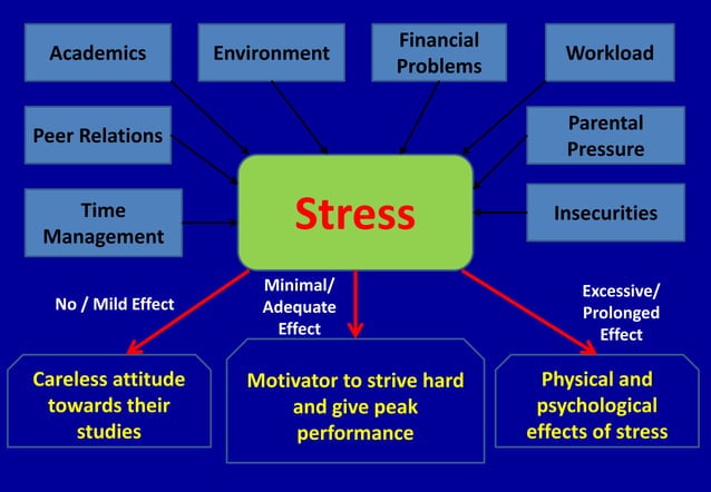 A study on the role of stress on performance | PPT