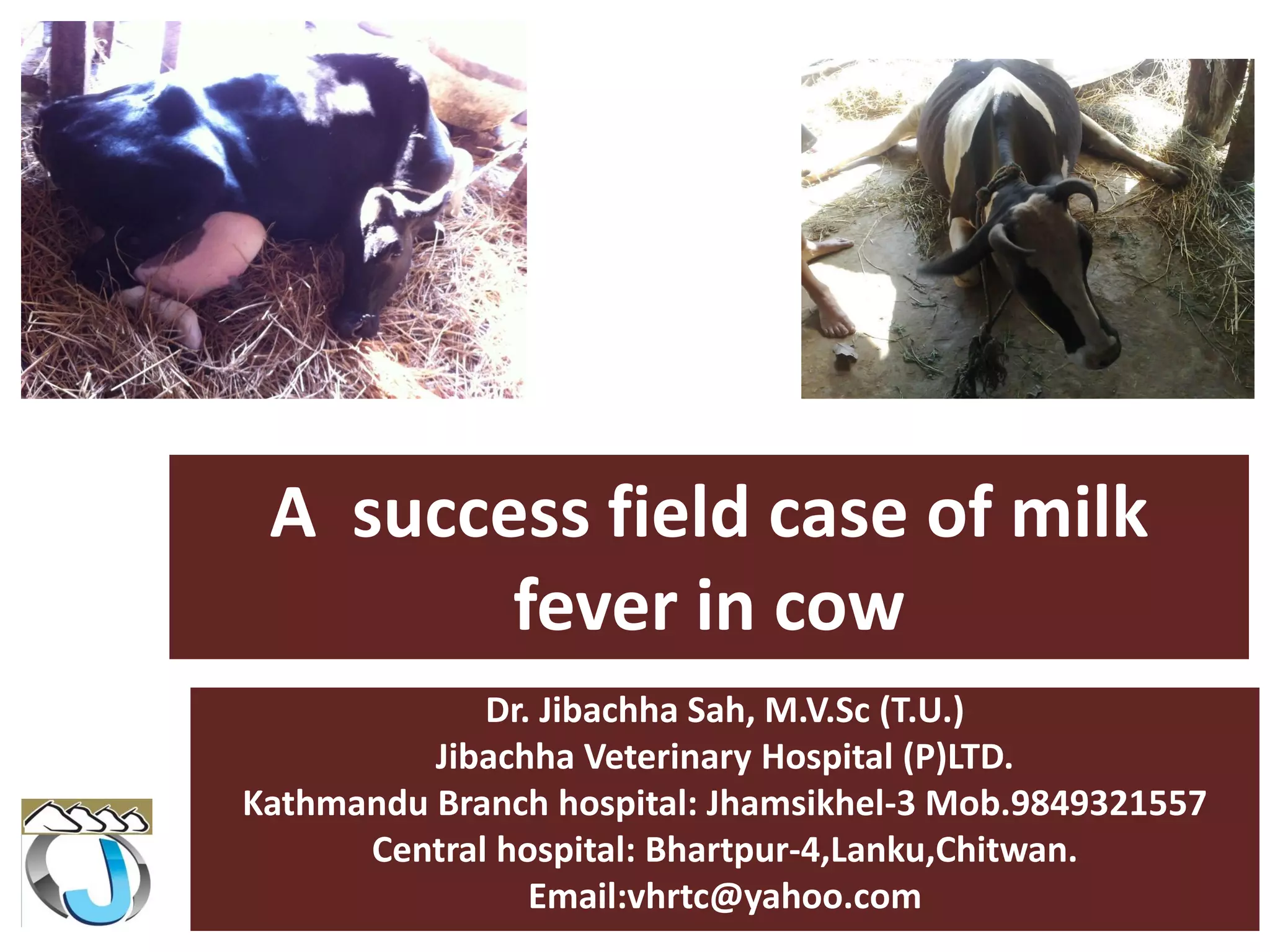A success field case of milk fever in cow-Dr.Jibachha Sah | PDF ...