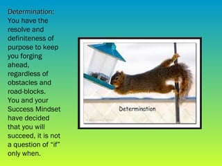 The Power of A Success Mindset | PPT