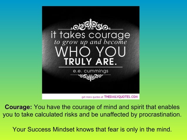 The Power of A Success Mindset | PPT