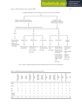 A Suggested Algorithm For Post-Traumatic Lower Limb Soft Tissue ...