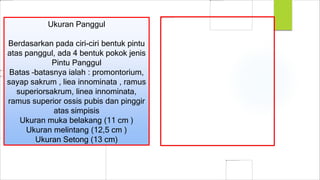 Asuhan kebidanan ii okk | PPT