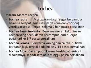 Asuhan kebidanan persalianan kala iv | PDF